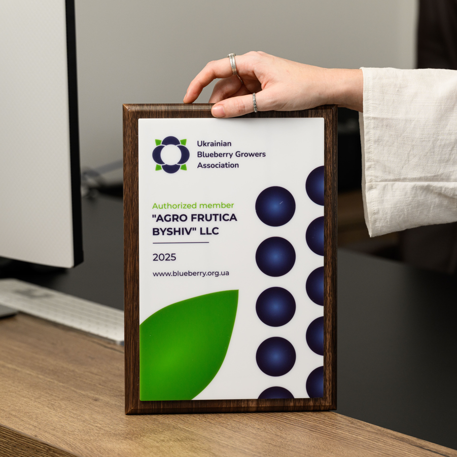 Custom Plaques | Award Plaques – TakeAwards